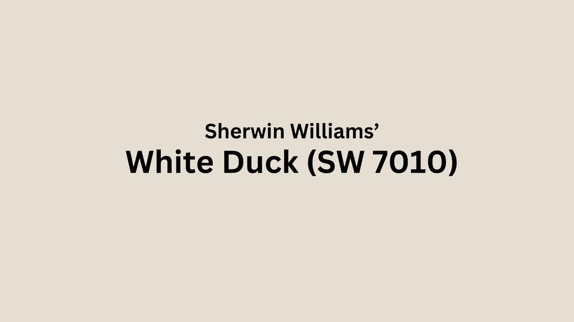 Sherwin Williams White Duck (SW 7010): A Review - Enthralling Gumption