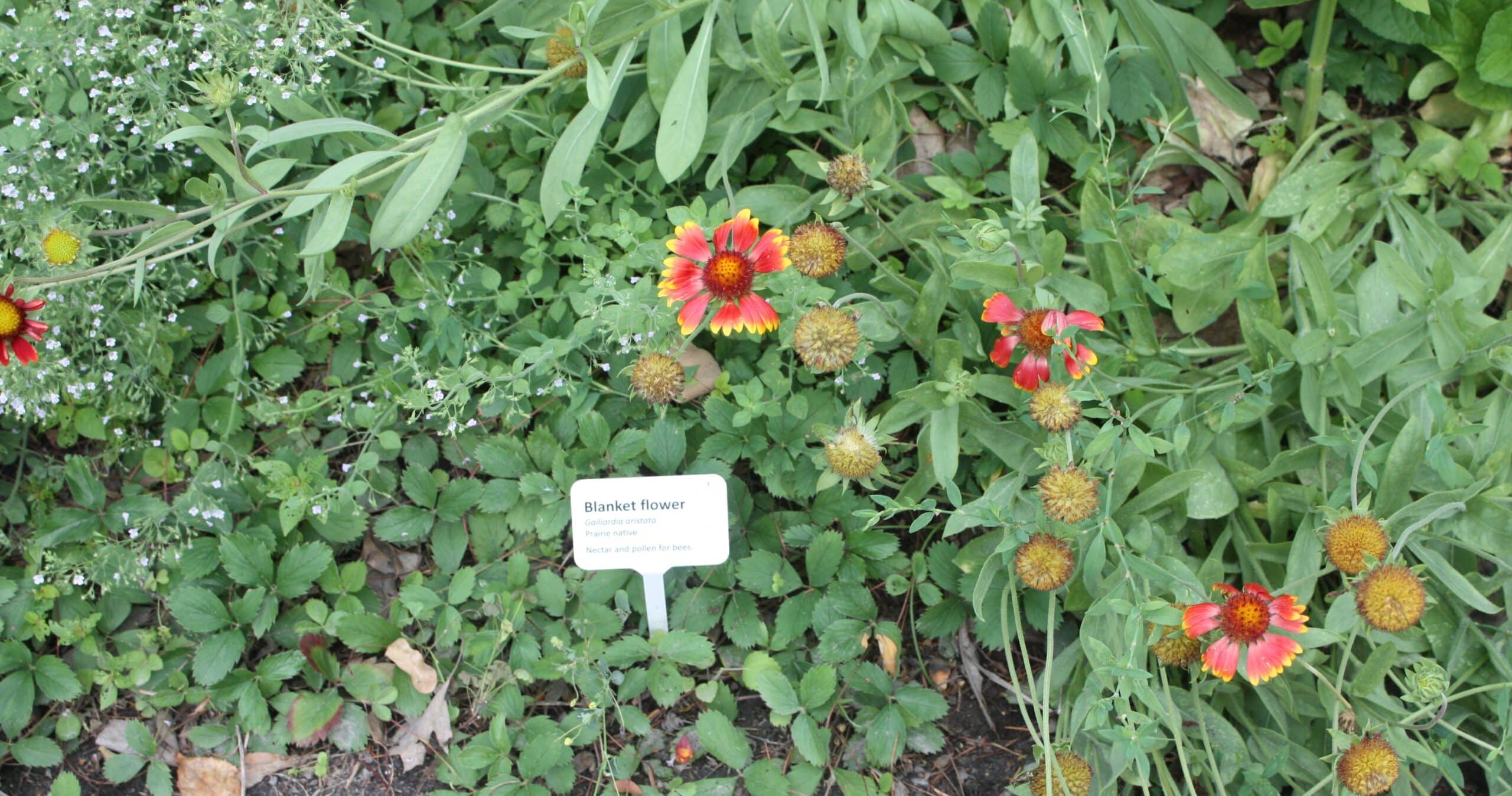 How to Make Creative DIY Plant Tags for Your Garden with a Laser ...