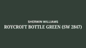 Sherwin Williams Clary Sage (SW 6178): A Review - Enthralling Gumption