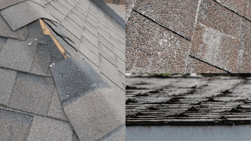 How to Spot Wind Damage on Your Roof? - Enthralling Gumption