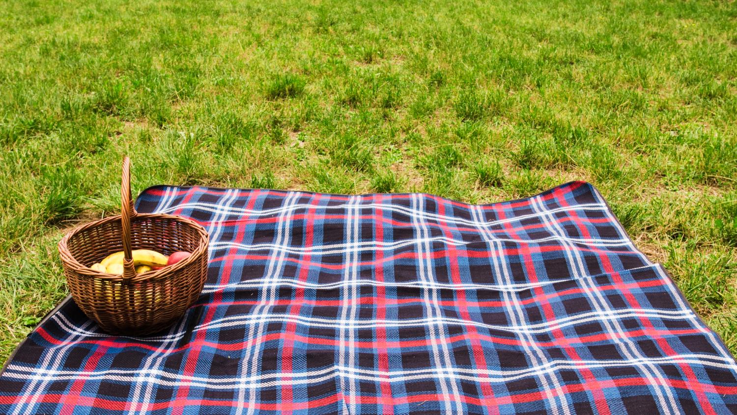 Easy-Clean Outdoor Picnic Rugs for Camping and Parks and Soft, Cozy ...