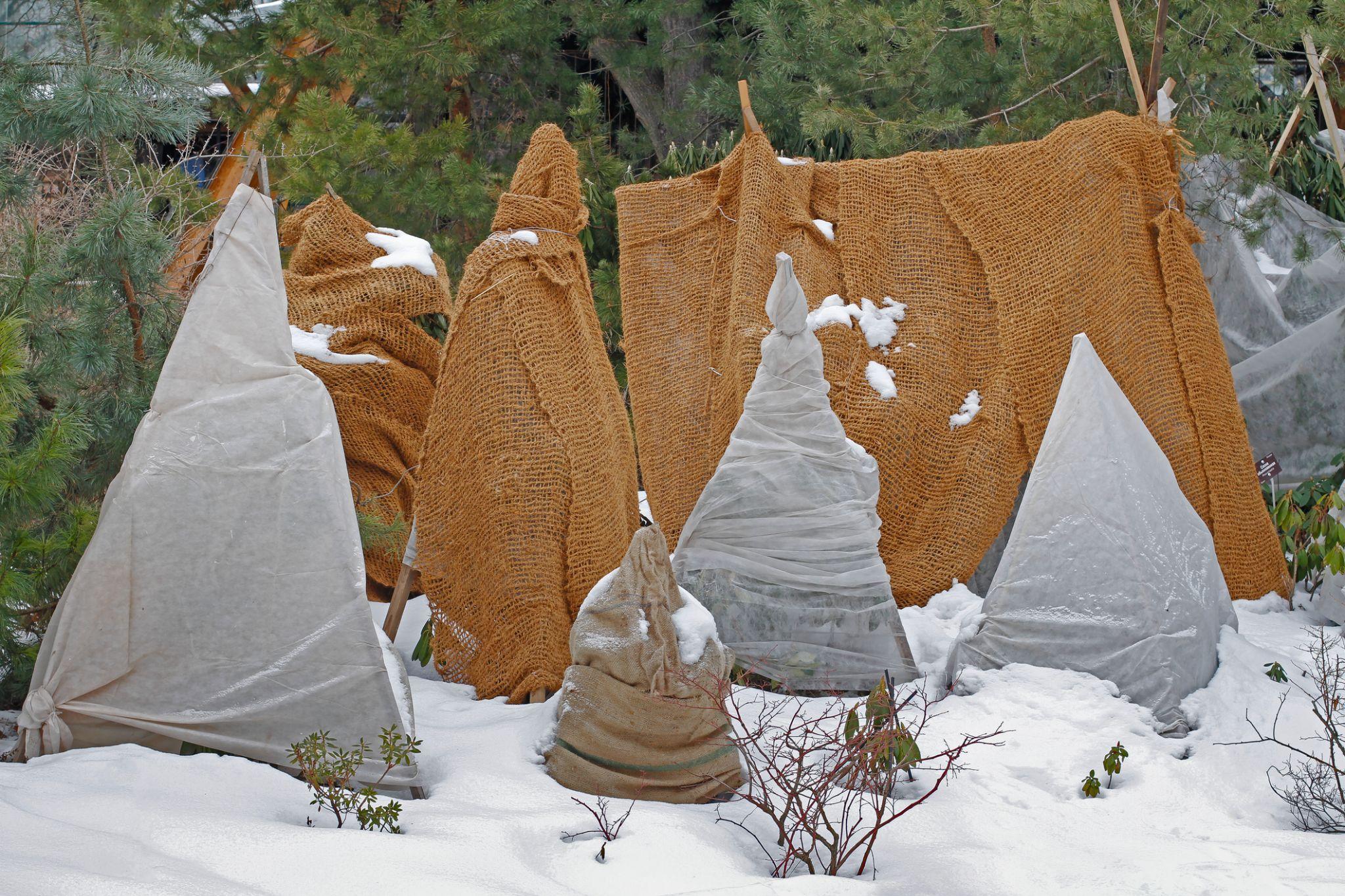 Winter Lawn & Plant Protection Tips for Homeowners - Enthralling ...