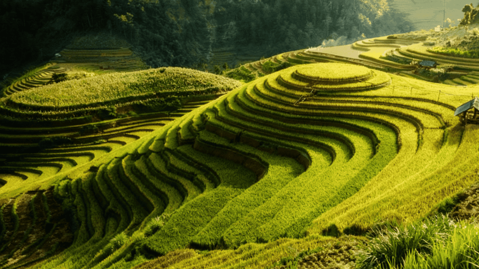 Soil Conservation Methods: Types, Benefits, and Limits - Enthralling ...