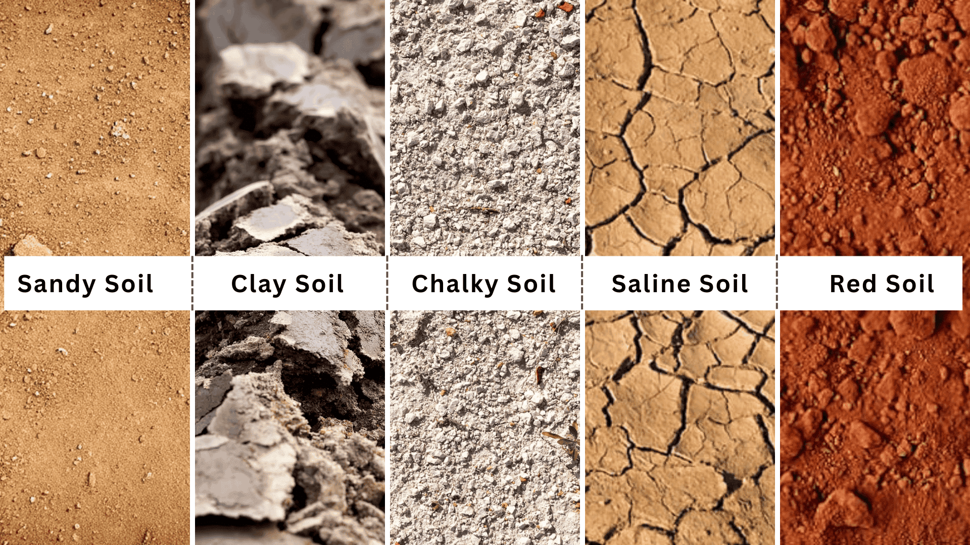 Different Types of Soil and Their Key Properties - Enthralling Gumption